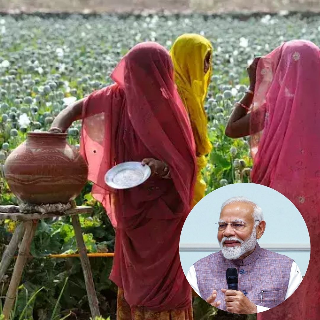 महिलाओं के लिए मिसाल बनी अमीना बानो, कैसे मददगार रही